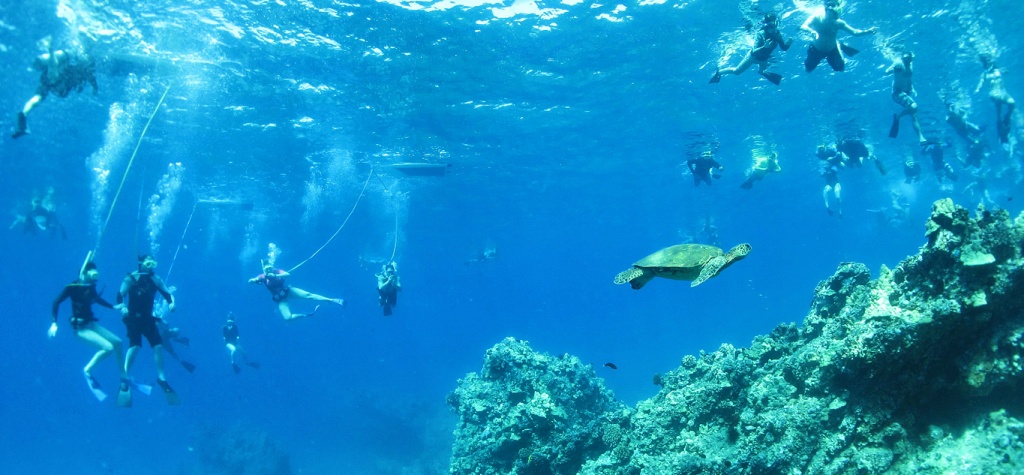 What is SNUBA? A Perfect Blend of Snorkeling and Scuba Diving..