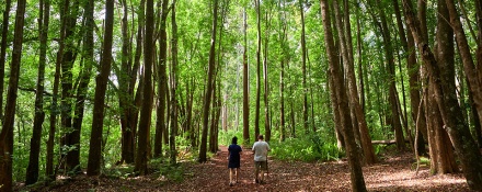 Maui's Top 10 Off the Beaten Path | Hidden Spots on Maui