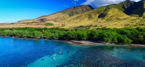 Best Maui Videos | Top 30 Amazing Videos Shot on Maui