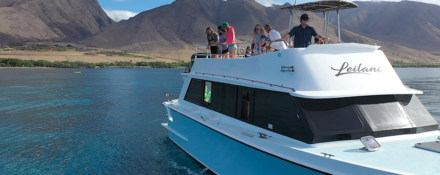 Best Maui Videos | Top 30 Amazing Videos Shot on Maui