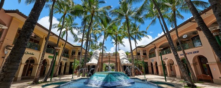 Wailea Things to Do | Top 10 Wailea Activities While In Maui
