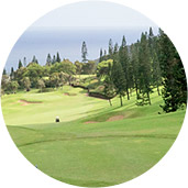 Best Maui Golf Courses | Top 10 Places to Golf in Maui