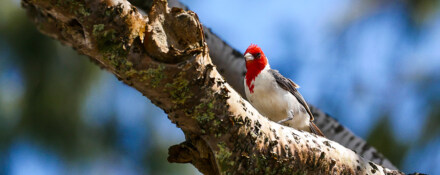 Complete Guide To Visiting Haleakala | Haleakala National Park