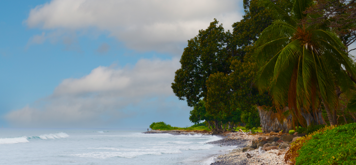 Top Things to Do in Maalaea Maui | Pride of Maui