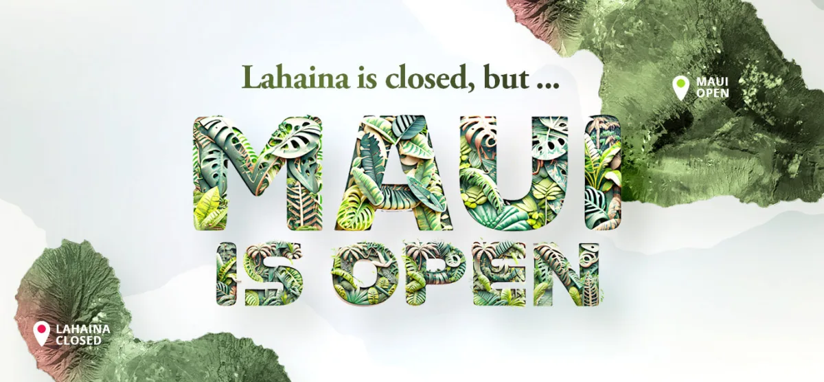 How To Help Maui Now | Maui Wildfires