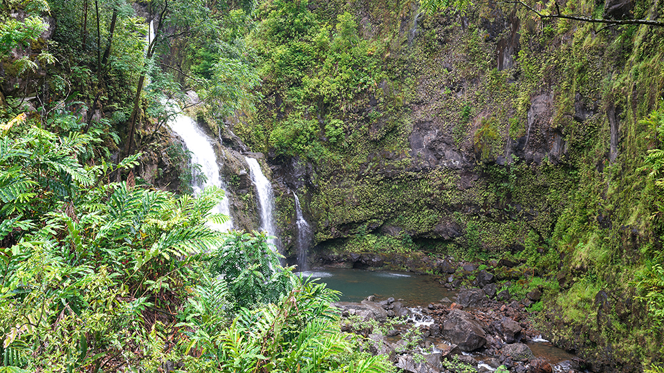Maui Waterfalls Guide: Road to Hana & Beyond
