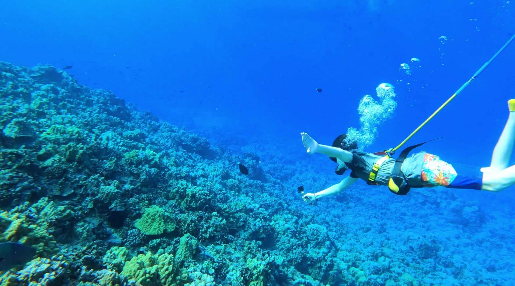 Maui SNUBA | SNUBA Diving in Maui | Molokini SNUBA