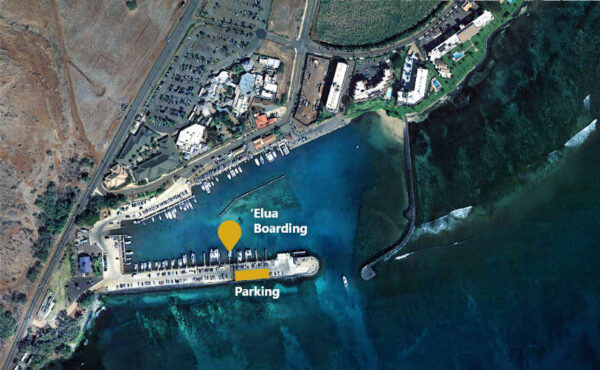 Maalaea Harbor Maps and Directions | Pride of Maui