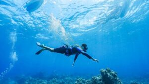 Maui SNUBA | SNUBA Diving in Maui | Molokini SNUBA